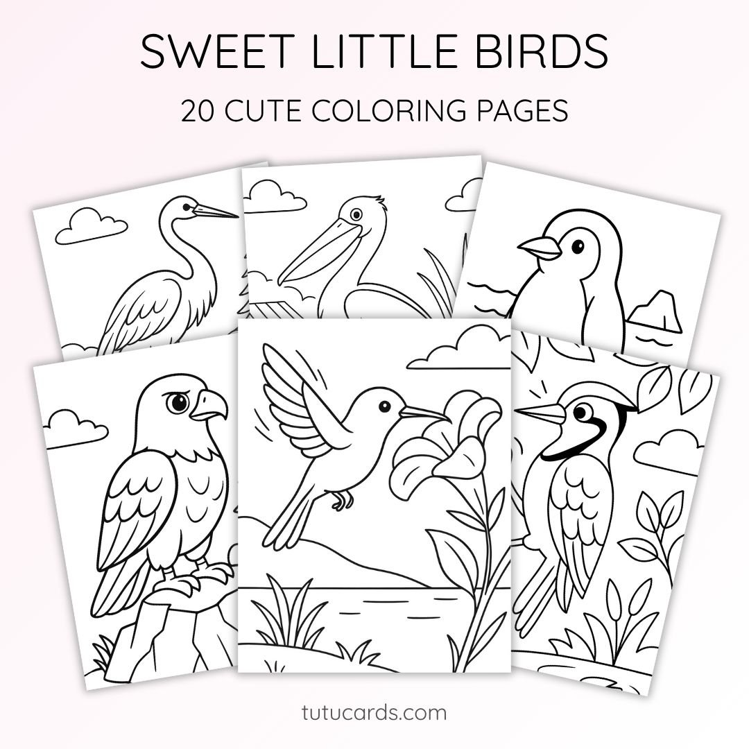 printable coloring pages for kids birds