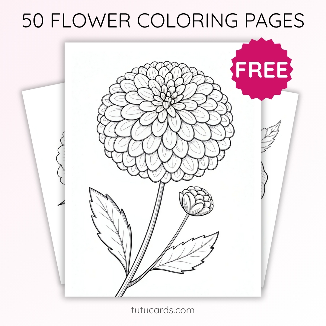 Chrysanthemum Flower Coloring Page for Kids | Printable PDF | US Letter ...