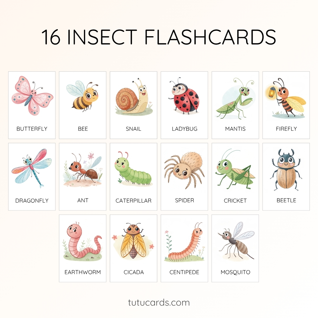 16 Cute Colorful Insect Flashcards | Printable Cards | 3.5x5 inch ...