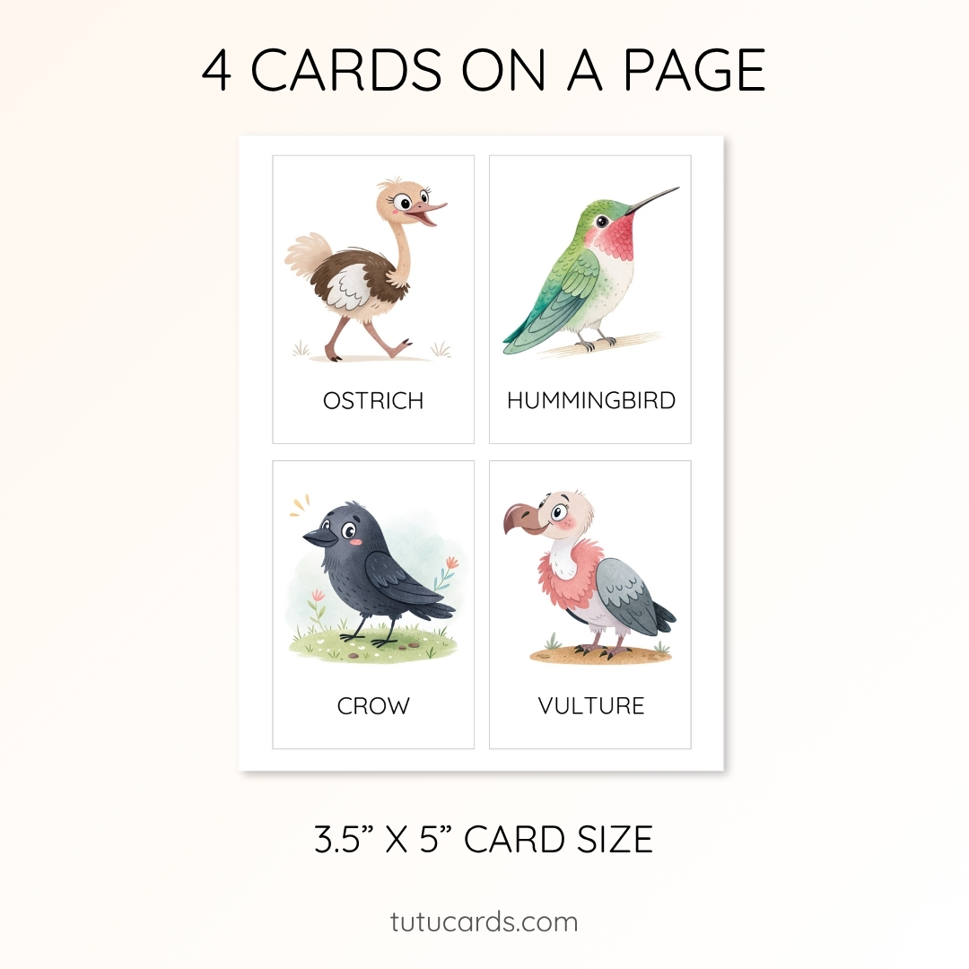 28 Cute Colorful Bird Flashcards | Printable Cards | 3.5x5 inch | Kids ...