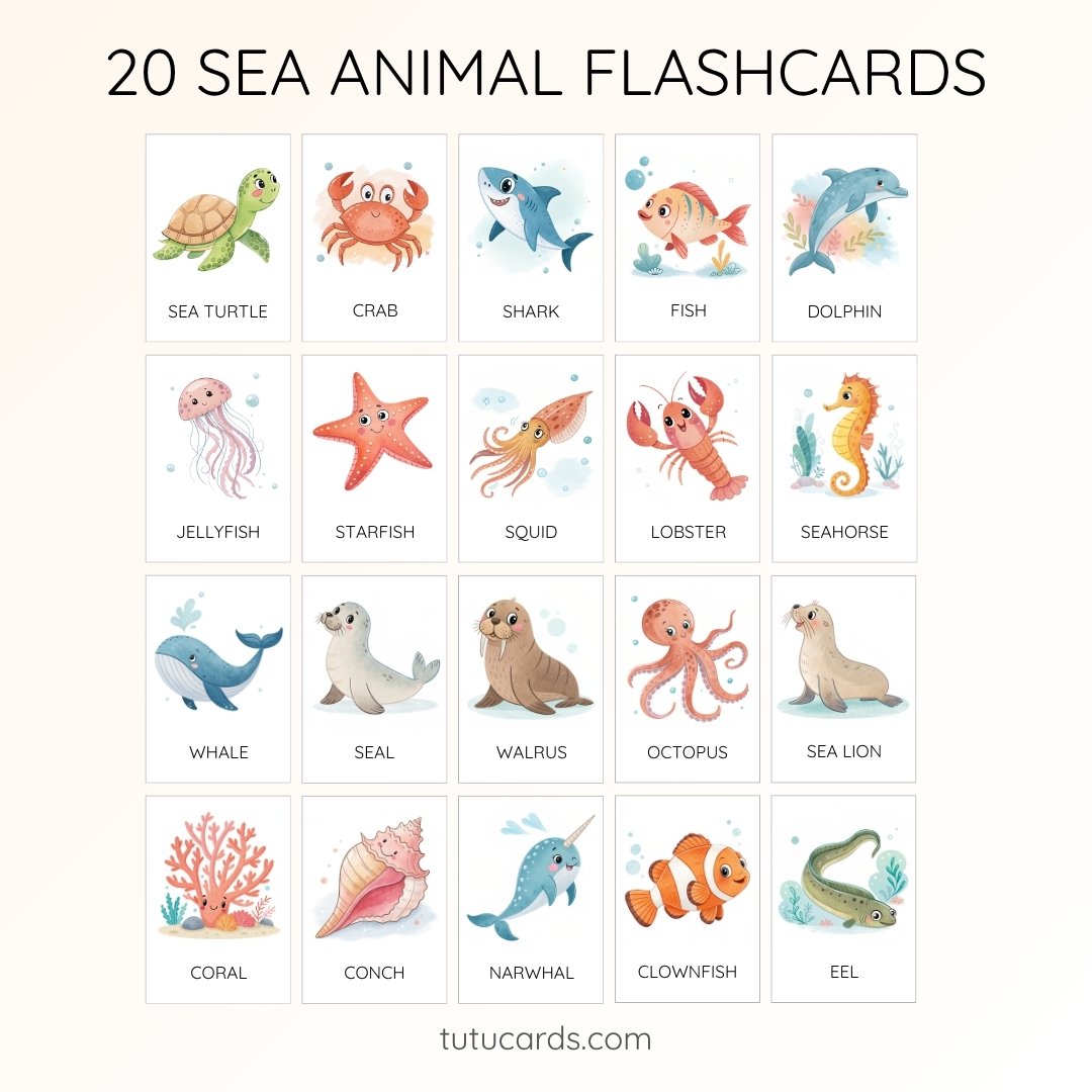 20 Cute Colorful sea Animal Flashcards | Printable Cards | 3.5x5 inch ...